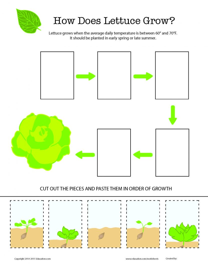 Properties Of Air For Kids Worksheets