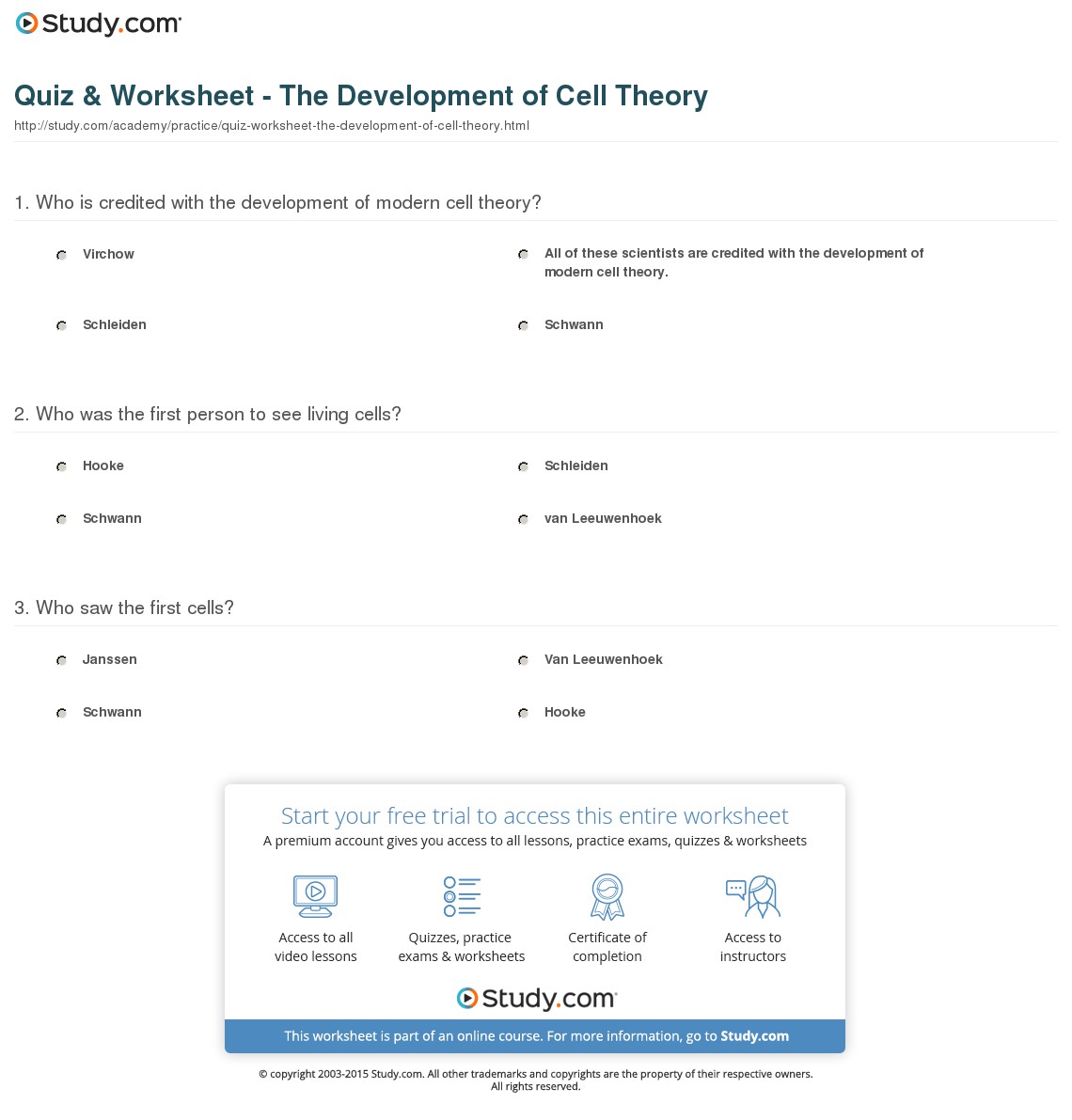 Quiz Worksheet Worksheets Samples quiz-worksheet-worksheets-samples